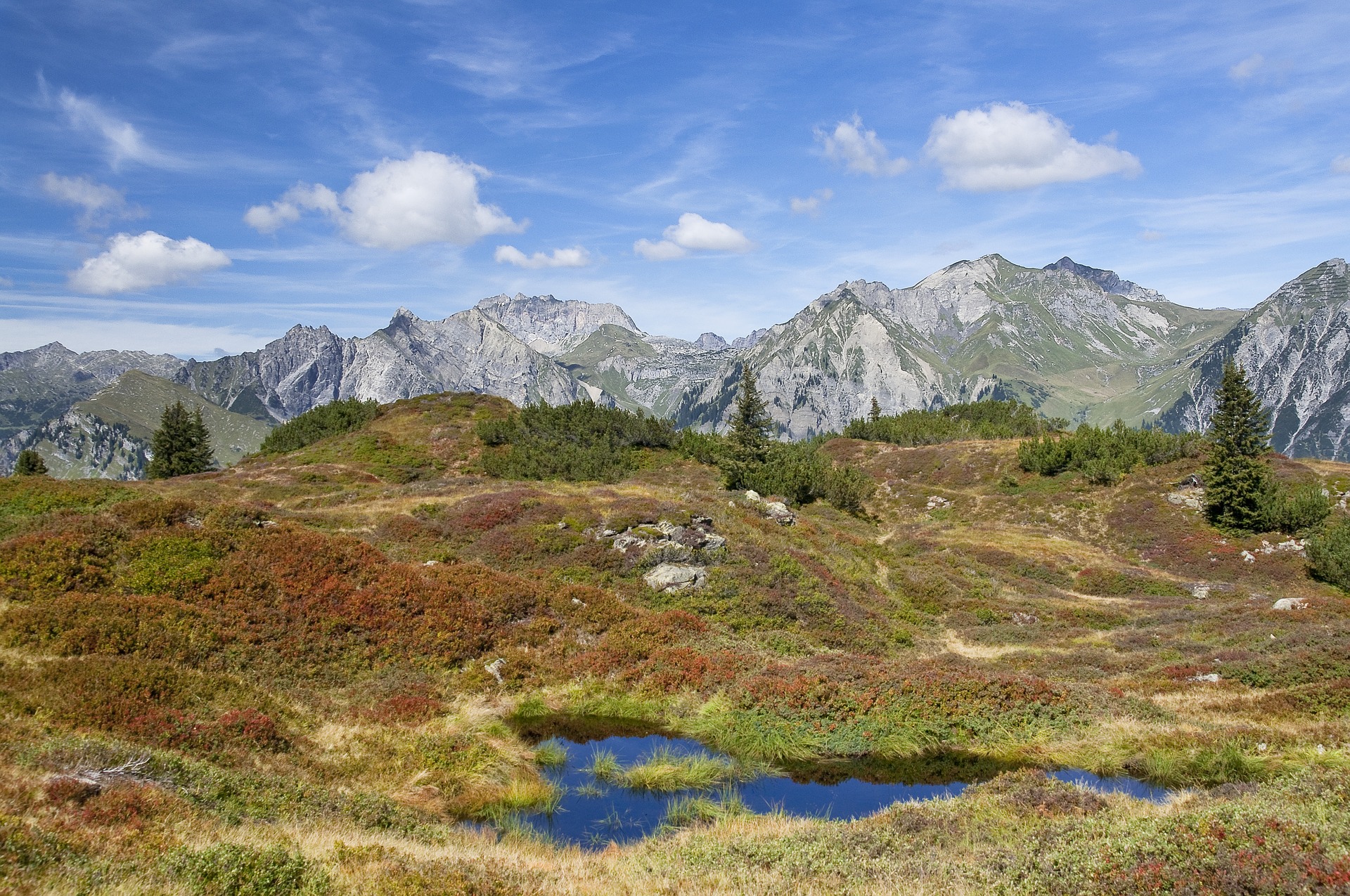Studie: Österreich schützt alpine Moorgebiete zu wenig | ÖKOBÜRO ...