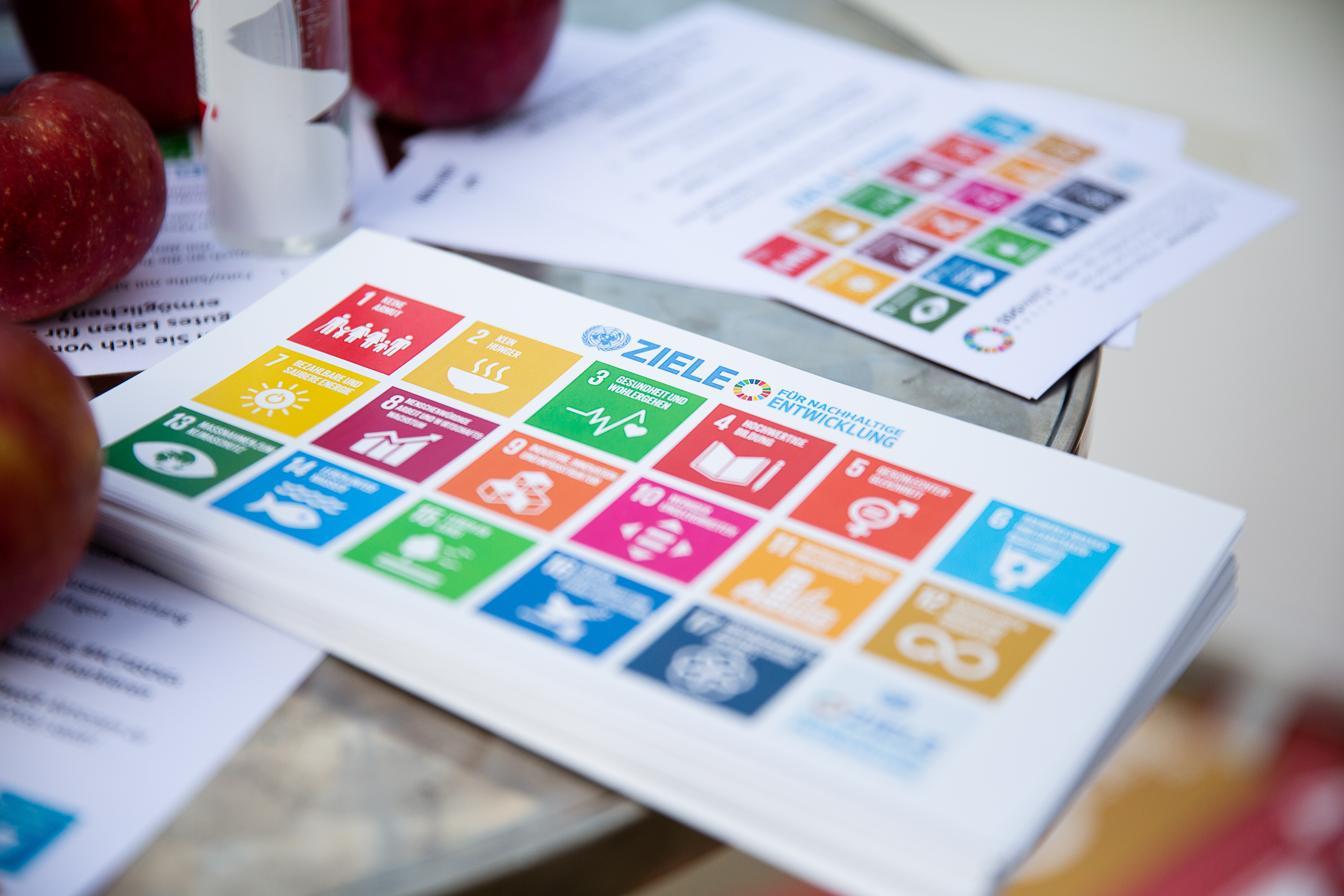 SDG Watch Austria appelliert an die Bundesregierung: Agenda 2030 jetzt ...